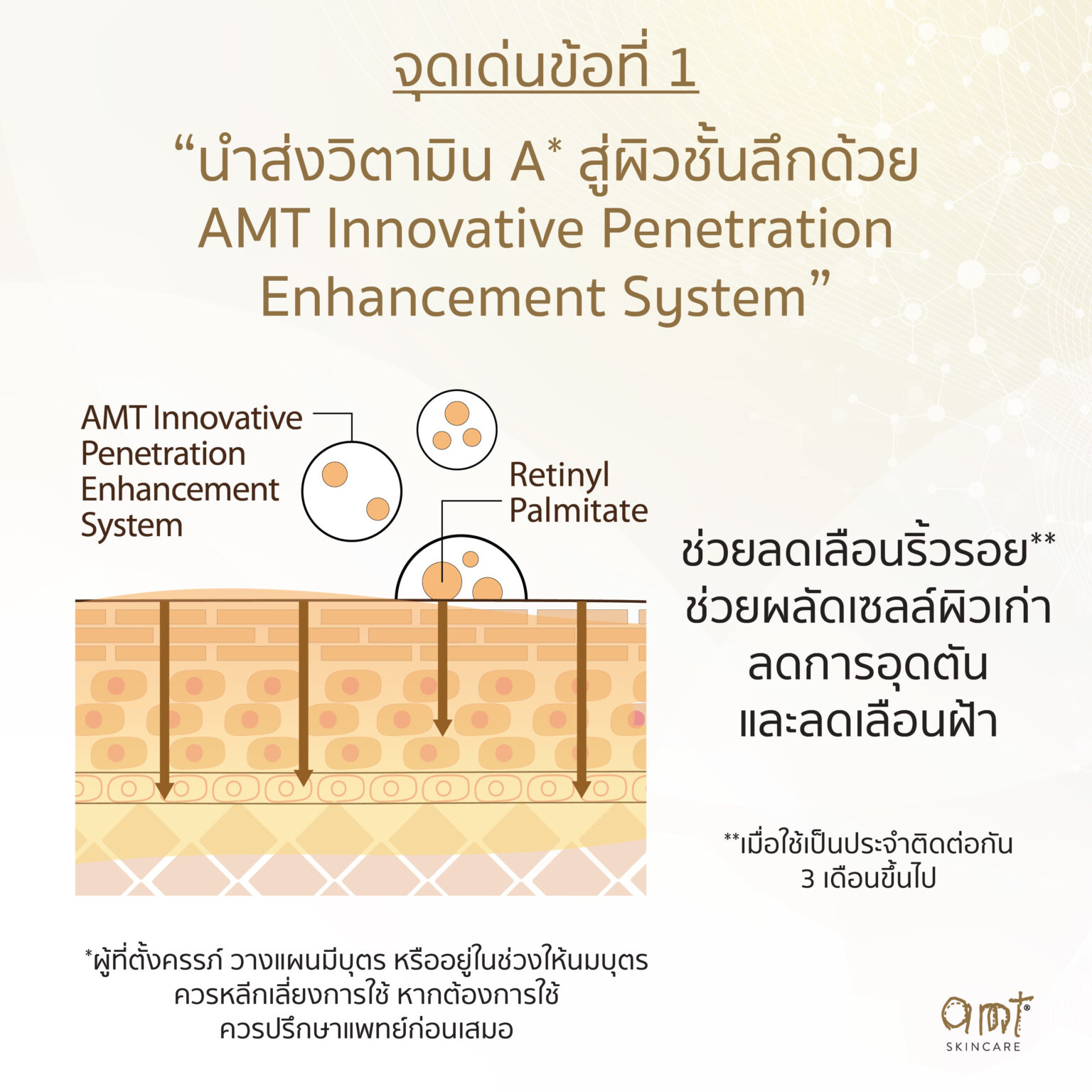 AMT Night Cream - ไนท์ครีมลดเลือนริ้วรอย ต้านอนุมูลอิสระ ล็อกความชุ่ม ...